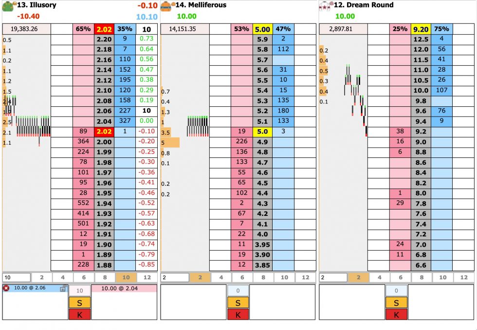 BetTrader User Manual: The Ladder mode