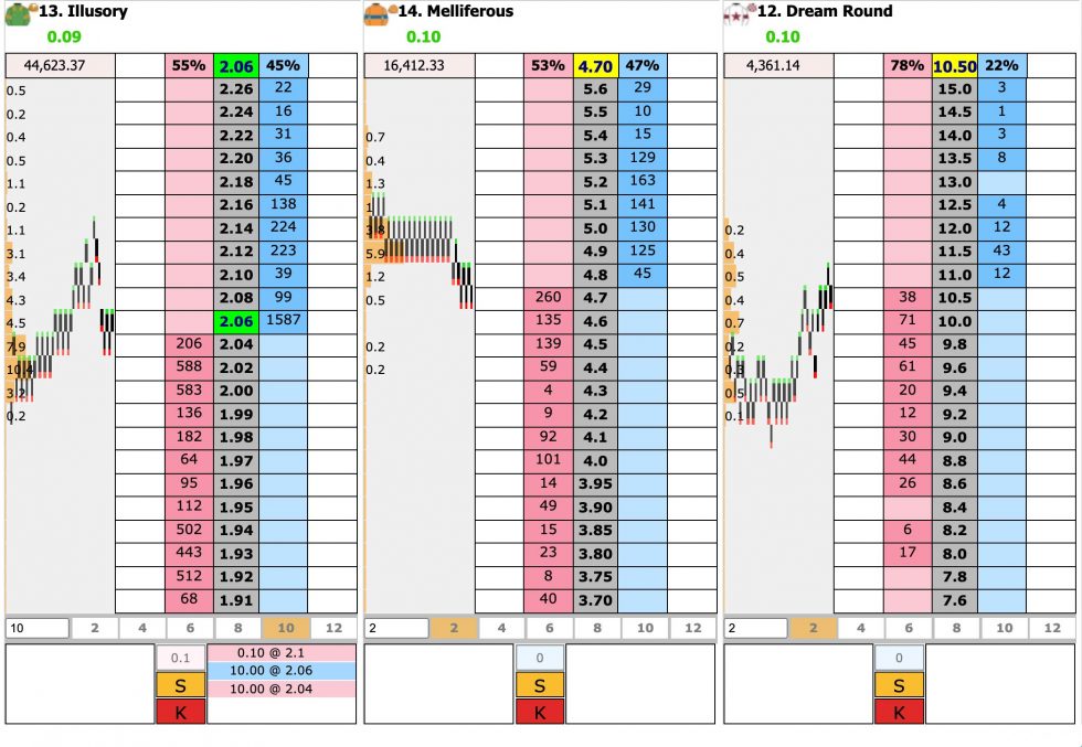 BetTrader User Manual: The Ladder mode